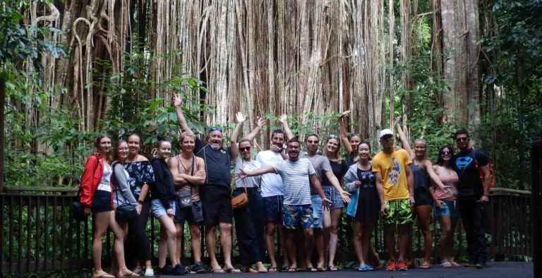 1 Day Atherton Tablelands Tour $139