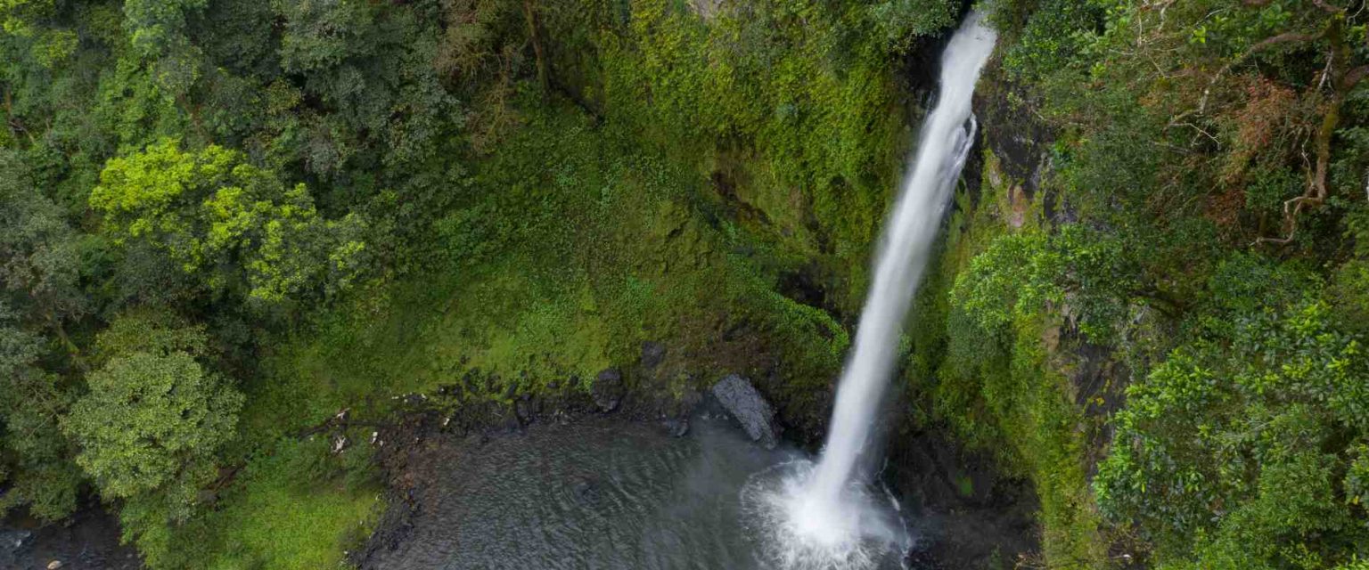 Cairns Tours from $105 | Cairns Day Trips & Multi-Day Tours